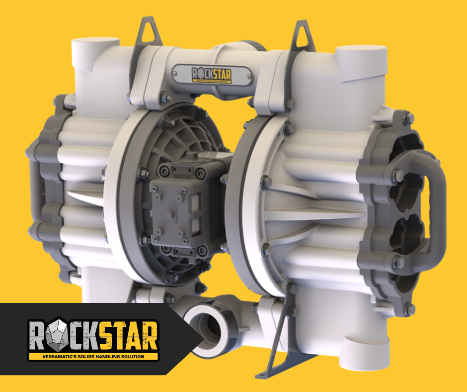 Rockstar with a Rap Sheet